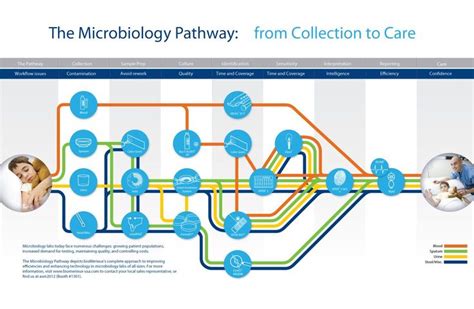 Projects Microbiology Map