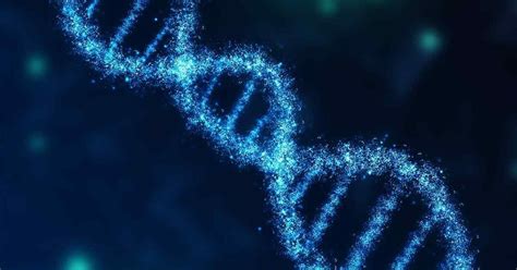 Sequencing