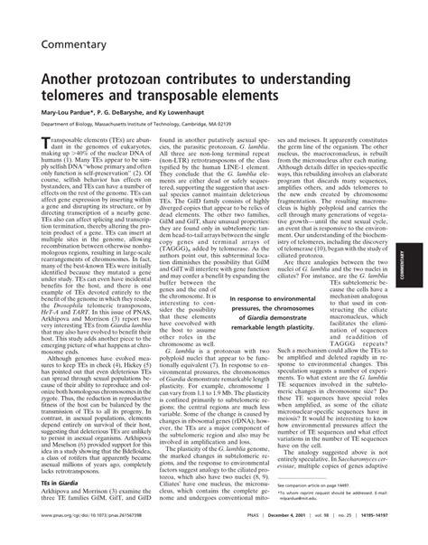 Pdf Another Protozoan Contributes To Understanding Telomeres And Transposable Elements