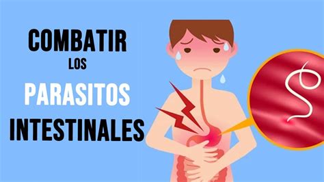 Parasitosis Intestinal Transmisión Síntomas Y Prevención Youtube