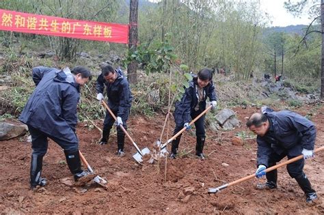 清远阳山把生态优势转化为发展优势