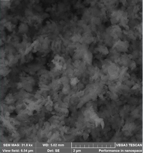 Scanning Electron Microscope Image Of Copper Oxide Nanoparticles Download Scientific Diagram