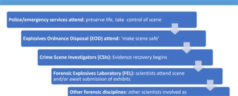 Lecture 4 EXPLOSIVES INVESTIGATION AND ANALYSIS Flashcards Quizlet