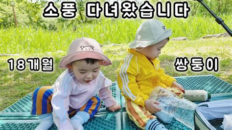 쌍둥이 아기랑 소풍 간다면feat아빠표 주먹밥도시락 18개월 쌍둥이 브이로그 Twins Vlog💏 Youtube