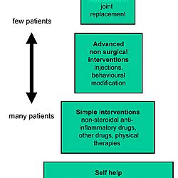 Principles For The Management Of Osteoarthritis A Suggested Sequential