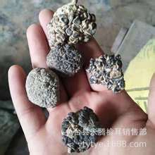 核桃菌 核桃菌品牌 图片 价格 核桃菌批发 阿里巴巴