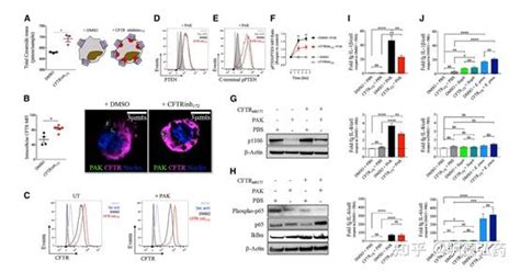 Immunity 细胞膜上CFTR型Cl 通道蛋白对PTEN PI3K Akt 通路的调节将会在囊肿肺纤维化Cystic fibrosis