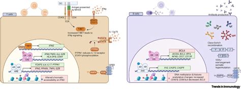 The Immuneendocrine Interplay In Sex Differential Responses To Viral