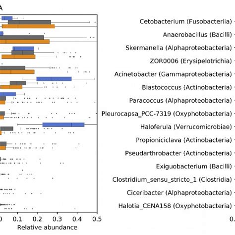 Relative Abundance Distributions Of A Bacterial Classes Phyla And