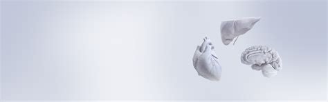 Advancing Cardiac Imaging Personalized Workflows From Protocols To AI