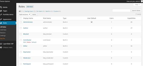 Plugins And Setting Menu Items Removed From Admin Panel Wordpress