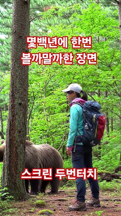 몇백년에 한번 볼까말까한 장면 웃낄 Youtube