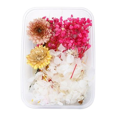 1 Box Real Dried Flower Resin Fillings Expoxy Flower For Epoxy Resin