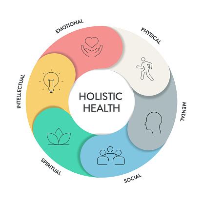 Holistic Health Framework Infographic Diagram Chart Illustration Banner