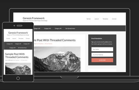 Genesis Wordpress Framework Artdriver