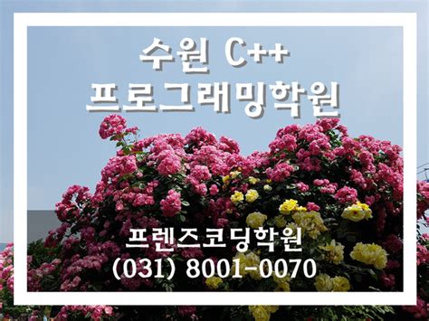 수원 C 학원 C 프로그래밍 소개 안양 의왕 군포 오산 병점 동탄 화성 용인 영통 수원 프렌즈코딩학원
