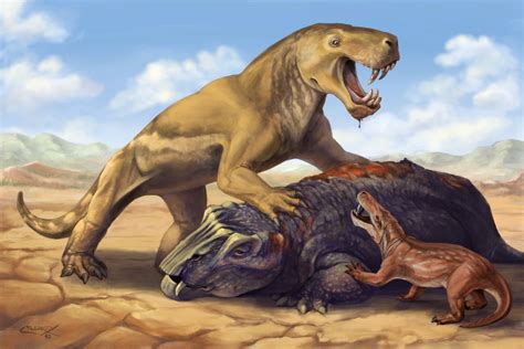 A Saber Toothed Permian Predator From Long Before Evolution Came Up