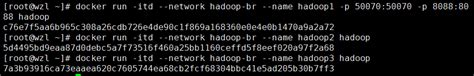 使用docker部署hadoop集群 手把手复现docker部署hadooo集群 Csdn博客