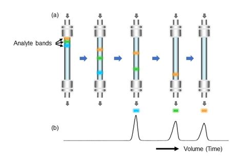 Chapter 2 Hplc Separation Shodex Hplc Columns And Standards