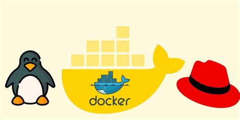Md Shams Firoz On Linkedin Unleash The Power Of Containers