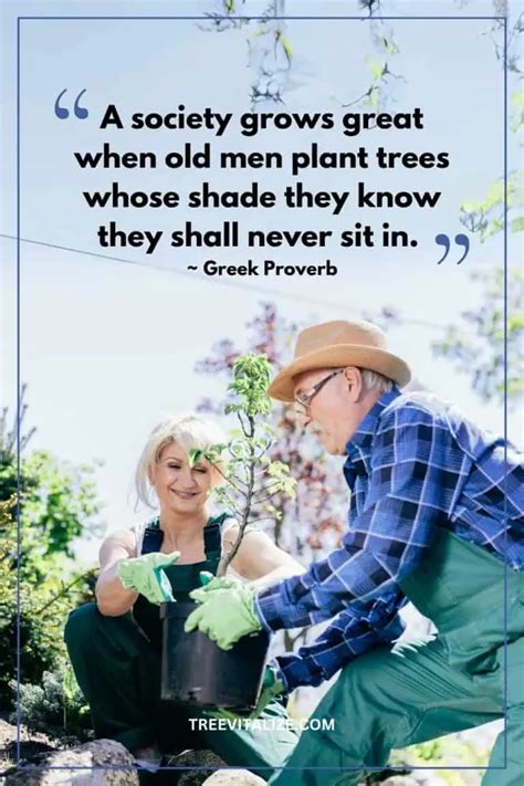 30 Powerful Tree Quotes To Inspire Move Motivate