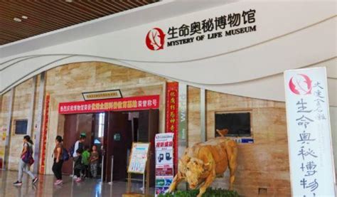 探索生命的奥秘，大连金石滩生命奥秘博物馆游记