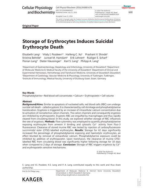Pdf Storage Of Erythrocytes Induces Suicidal Erythrocyte Death