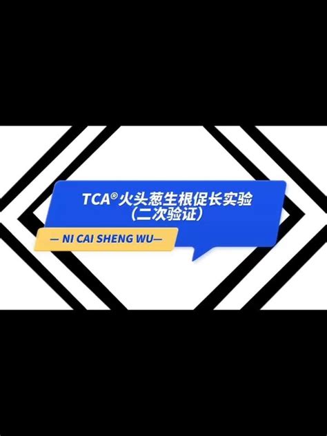 TCA火头葱生根促长实验二次验证 知乎