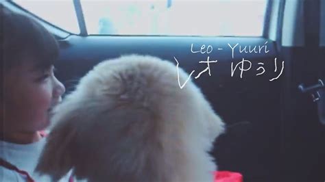 J Pop 유우리 Yuuri優里 Leo『レオ』가사발음해석 Youtube Music