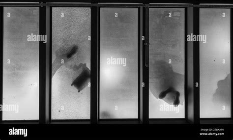 A White Wooden Window Frame Adorned With Multiple Rectangular Panes Of Glass With A Person Seen