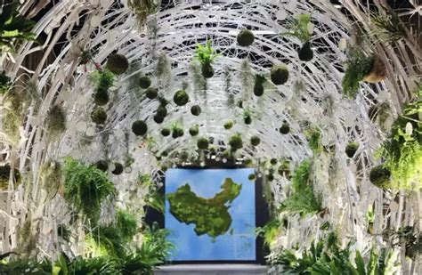 不能错过的秋季花展，2019上海植物园让你“心花怒放” Bang