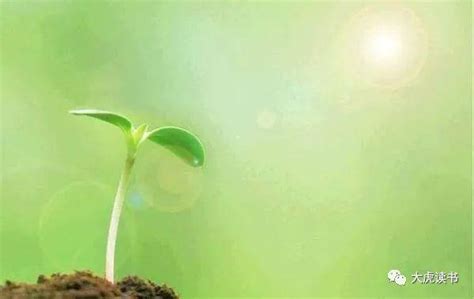 3招提升個人職場影響力 每日頭條