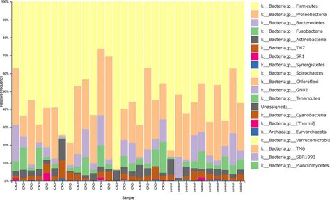The Composition Bar Plots For Each Sample On The Phylum Level