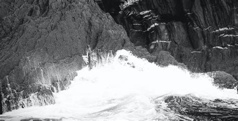 Home Wavegroupscience