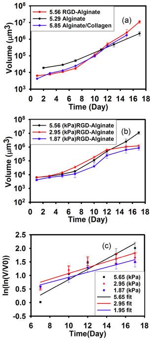 The Presence Of Rgd Leads To Growth At A Similar Rate As Collagen