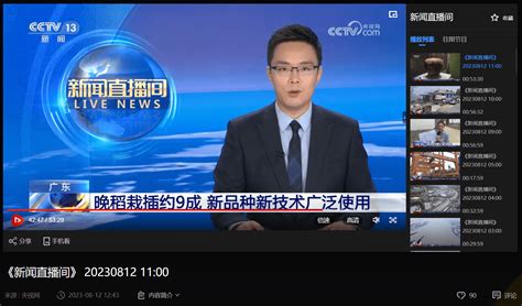 奋战百千万工程连州西岸这个项目获央视报道 试验 西岸镇 种植