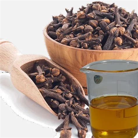 Scfe Co2 Extract Clove Oil Manufacturer India Hdpe Cane At Rs 3500kg