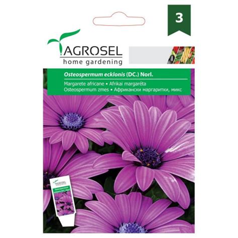 Margarete Africane Melanj 05g