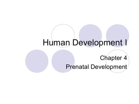 Human Development Chapter 4 Pregnancy