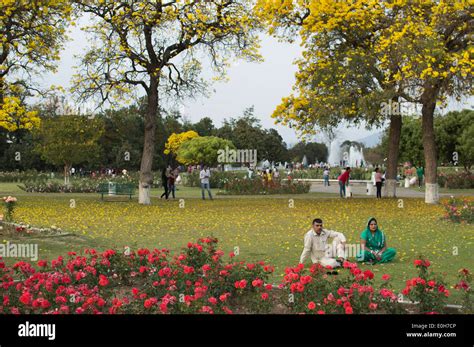 Chandigarh Hi Res Stock Photography And Images Alamy