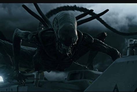 Pin By Paolo Bruschi On Alien Prometheus Alien Covenant Aliens Movie