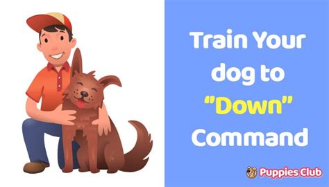 21 Easy Essential Dog Commands To Train Your Puppy