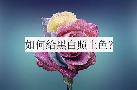 如何给黑白照上色？分享一个常用方法 哔哩哔哩