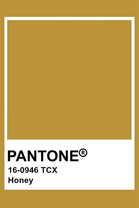 Pantone Honey Pantone Colour Palettes Pantone Palette Yellow Pantone