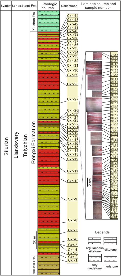 The Lrbs Stratigraphical Column And Samples Cxr 1 To Cxr 44 Show The Download Scientific