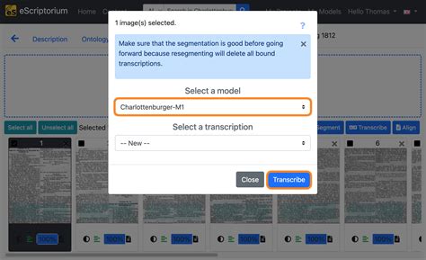 Training With Escriptorium A Step By Step Guide Escriptorium