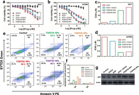 Self Assembled Green Tea Polyphenol Based Coordination Nanomaterials To