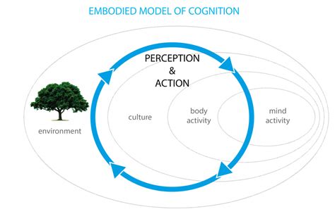 Embodied Model Of Cognition Download Scientific Diagram