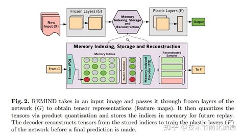 How To Prevent Catastrophic Forgetting