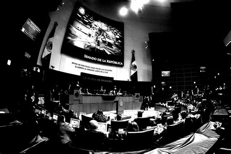 Senadores Del Pan Durante Los Trabajos De La Sesión Extraordinaria